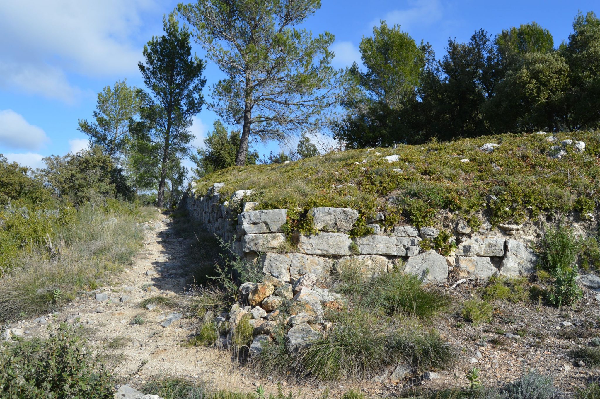 Balade numérique - Taradeau - L'oppidum | Tourisme en Dracénie Provence ...